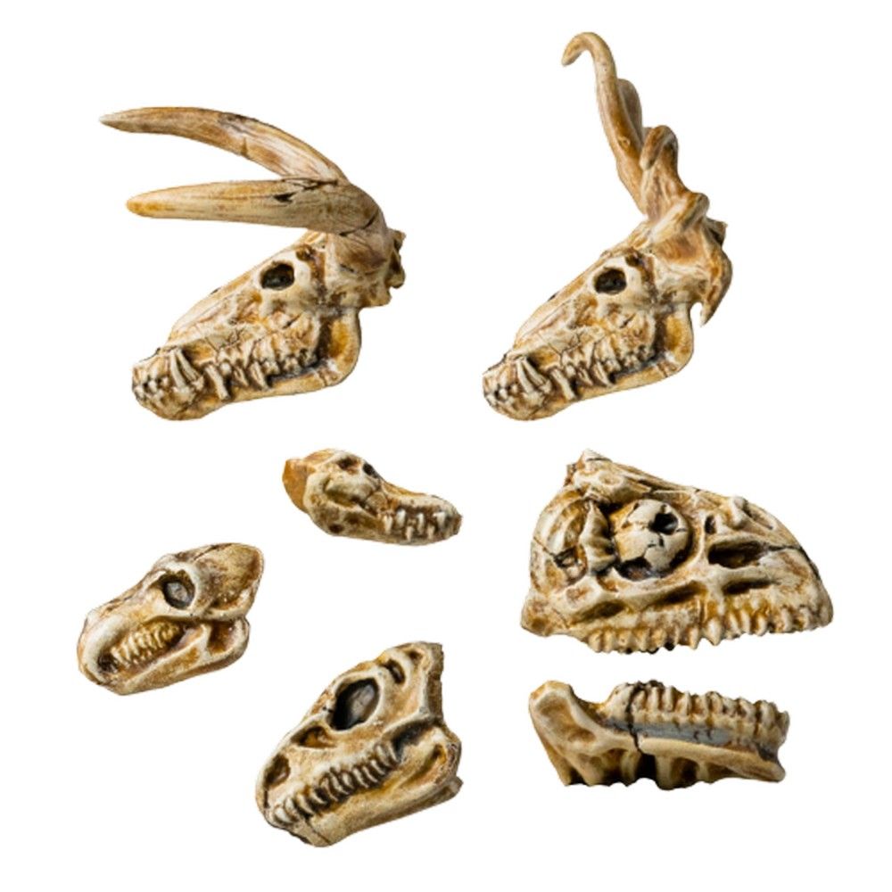 Beast Skulls KRBK104 | Wayland Games