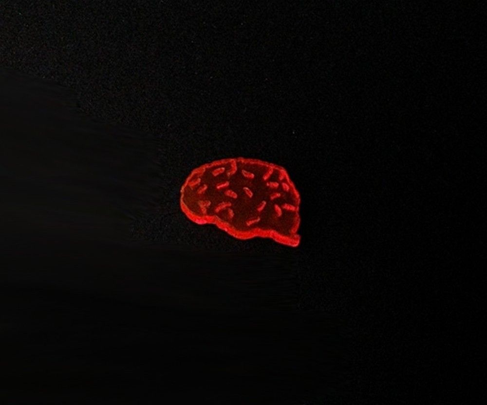 Brain Token Custom Meeple CU00540TK | Wayland Games