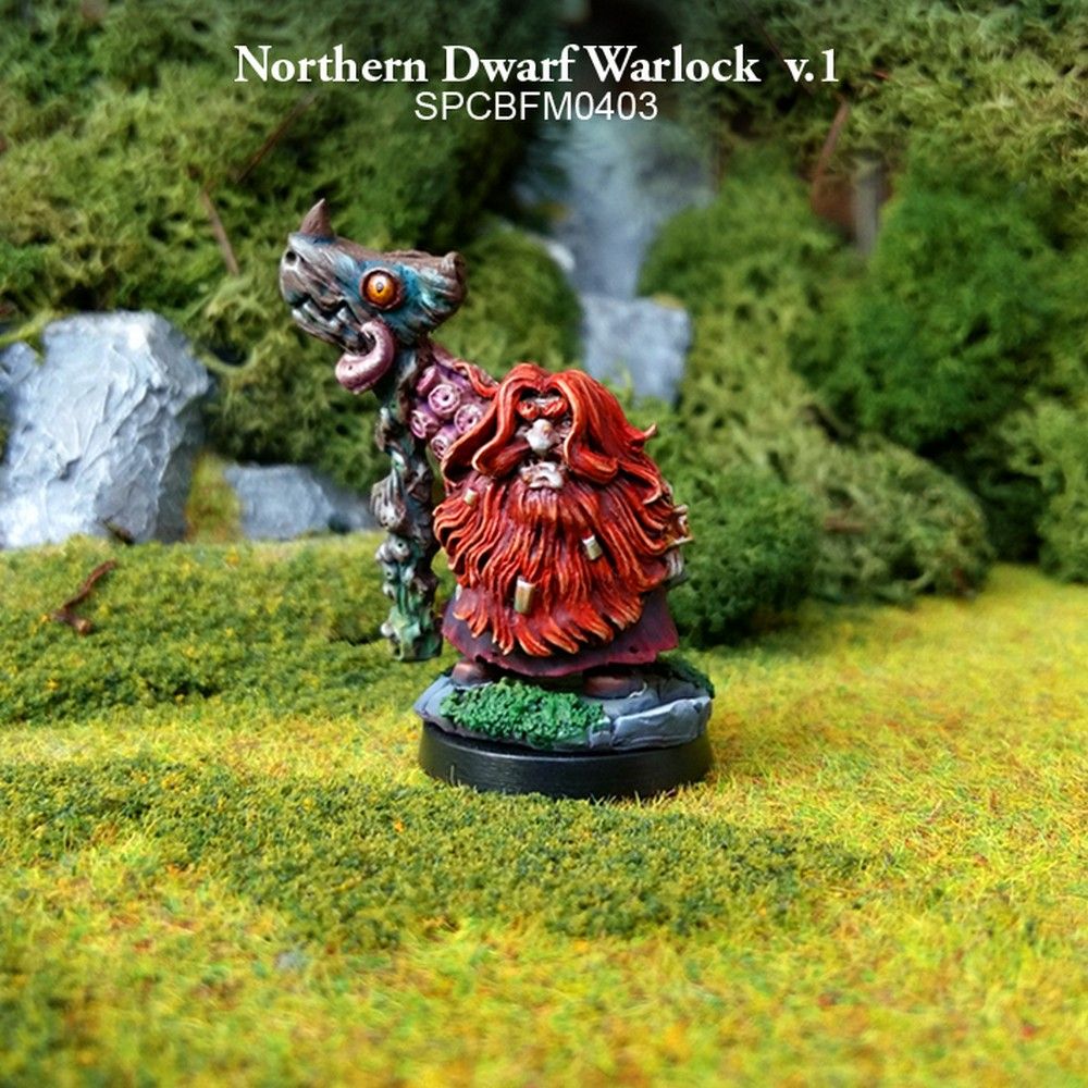 Northern Dwarf Warlock v.1 Spellcrow SPCBFM0403 | Wayland Games