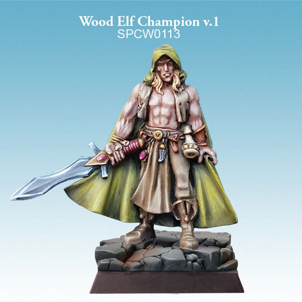 Umbra Turris - Wood Elf Champion v.1 | Wayland Games